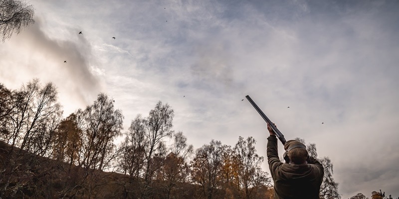Driven Pheasant, Grouse and Partridge Shooting & Hunting Scotland