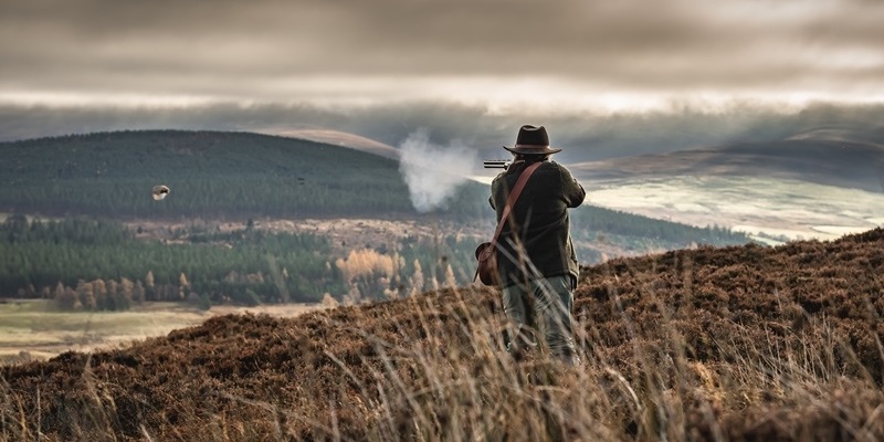 Driven Pheasant, Grouse and Partridge Shooting & Hunting Scotland